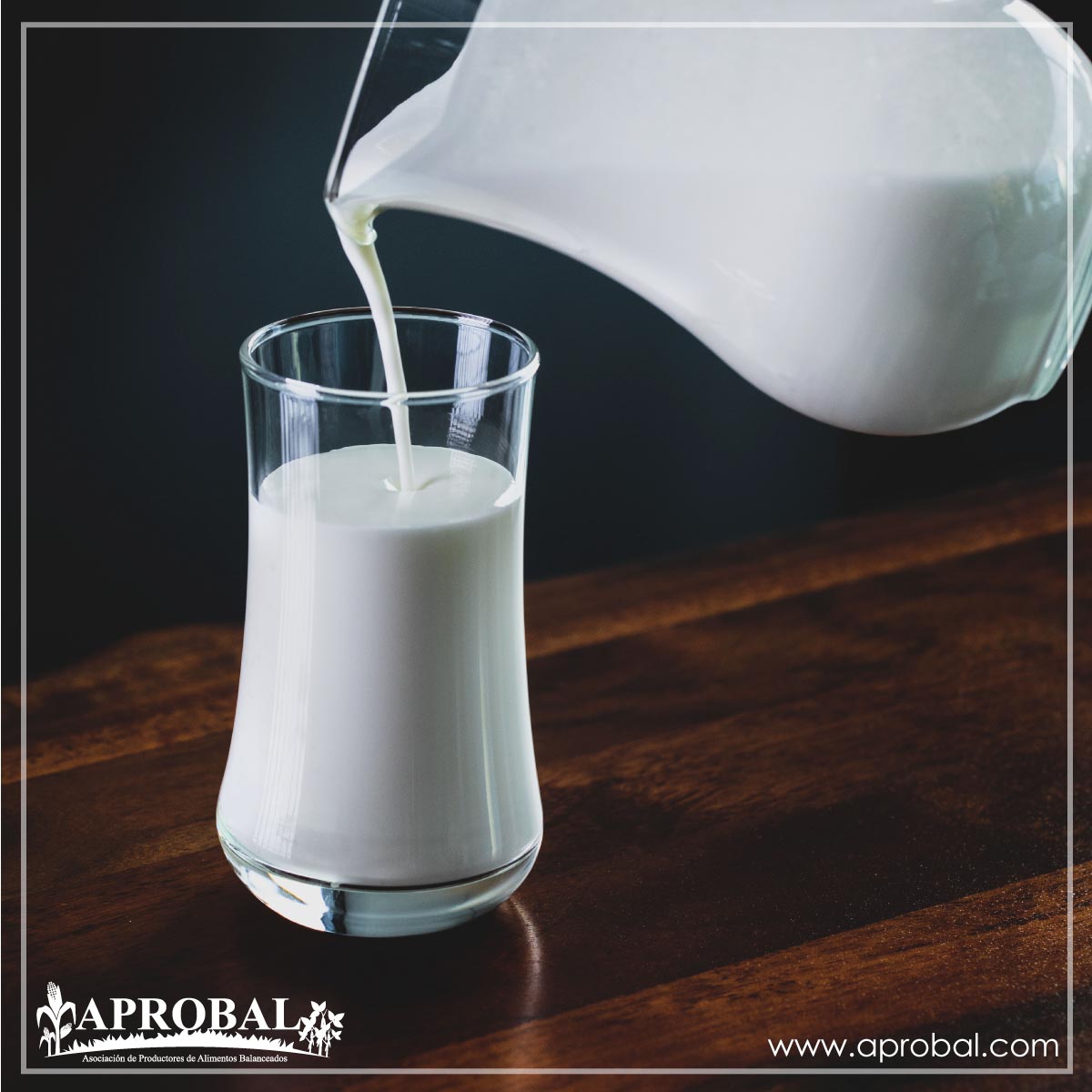 GANADEROS DE ECUADOR IMPULSARÁN MÁS CONSUMO DE LECHE - Aprobal